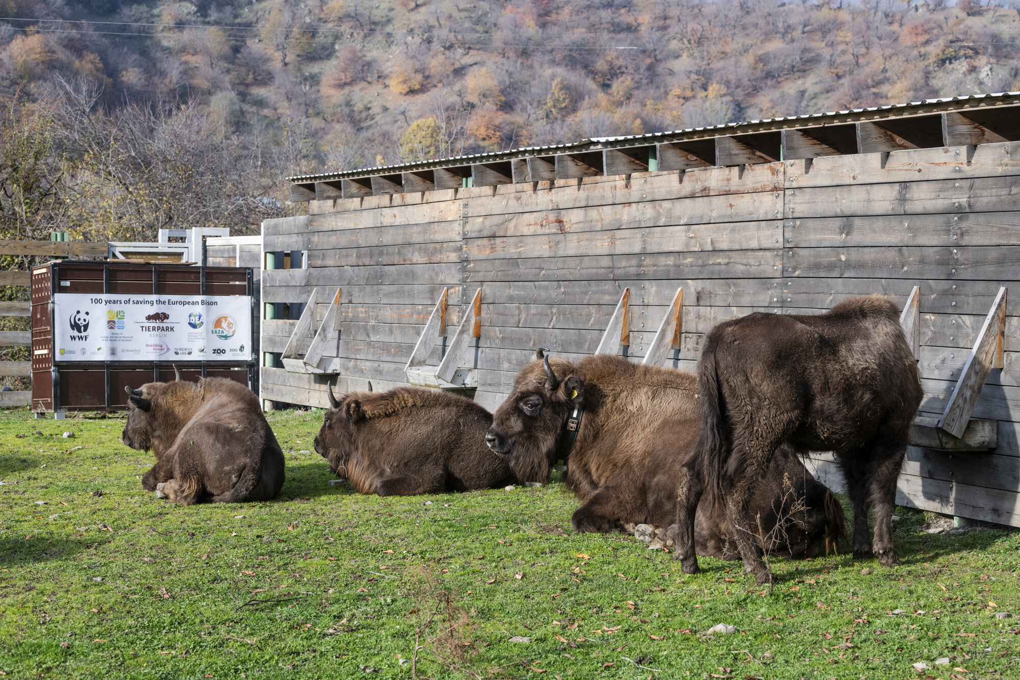 Into the wild – Zoo Berlin