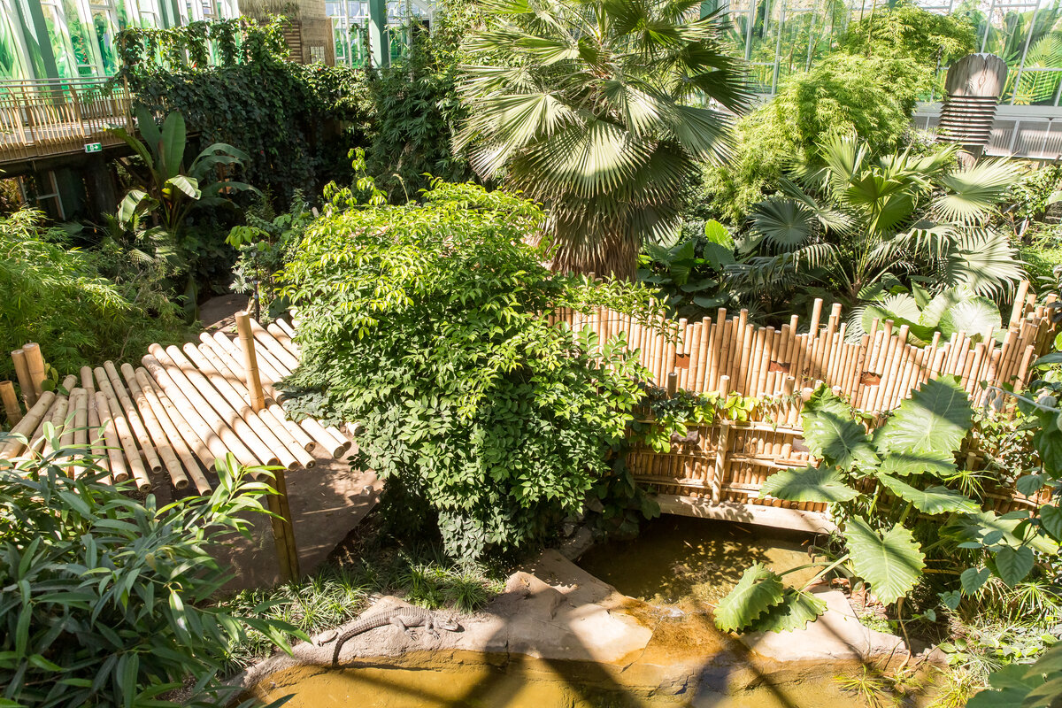 Alfred-Brehm-Haus und Affenhaus wieder geöffnet – Zoo Berlin