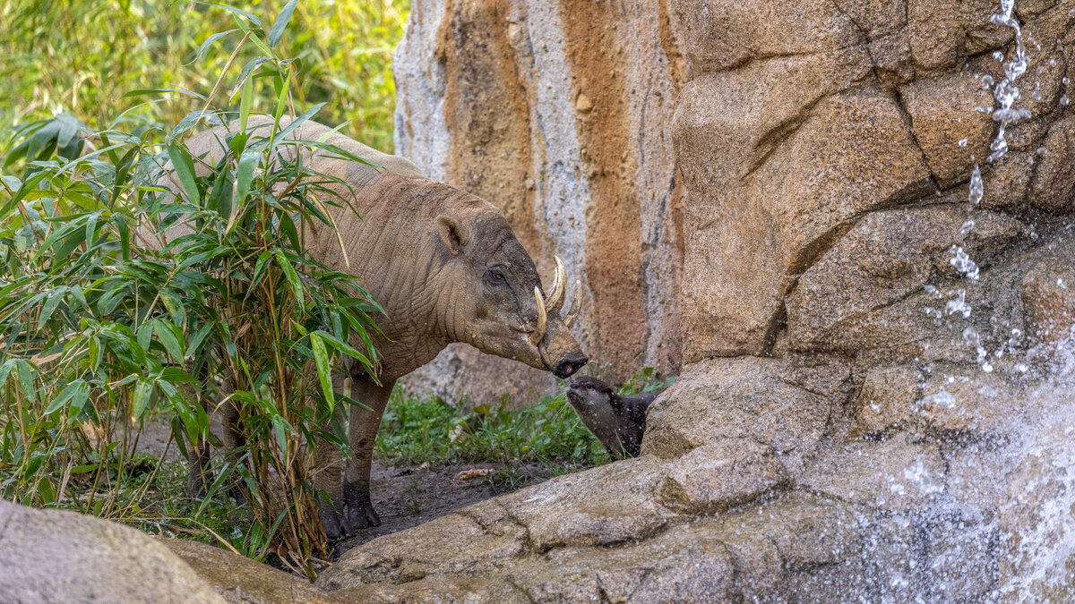 Bye bye, 2024! – Zoo Berlin