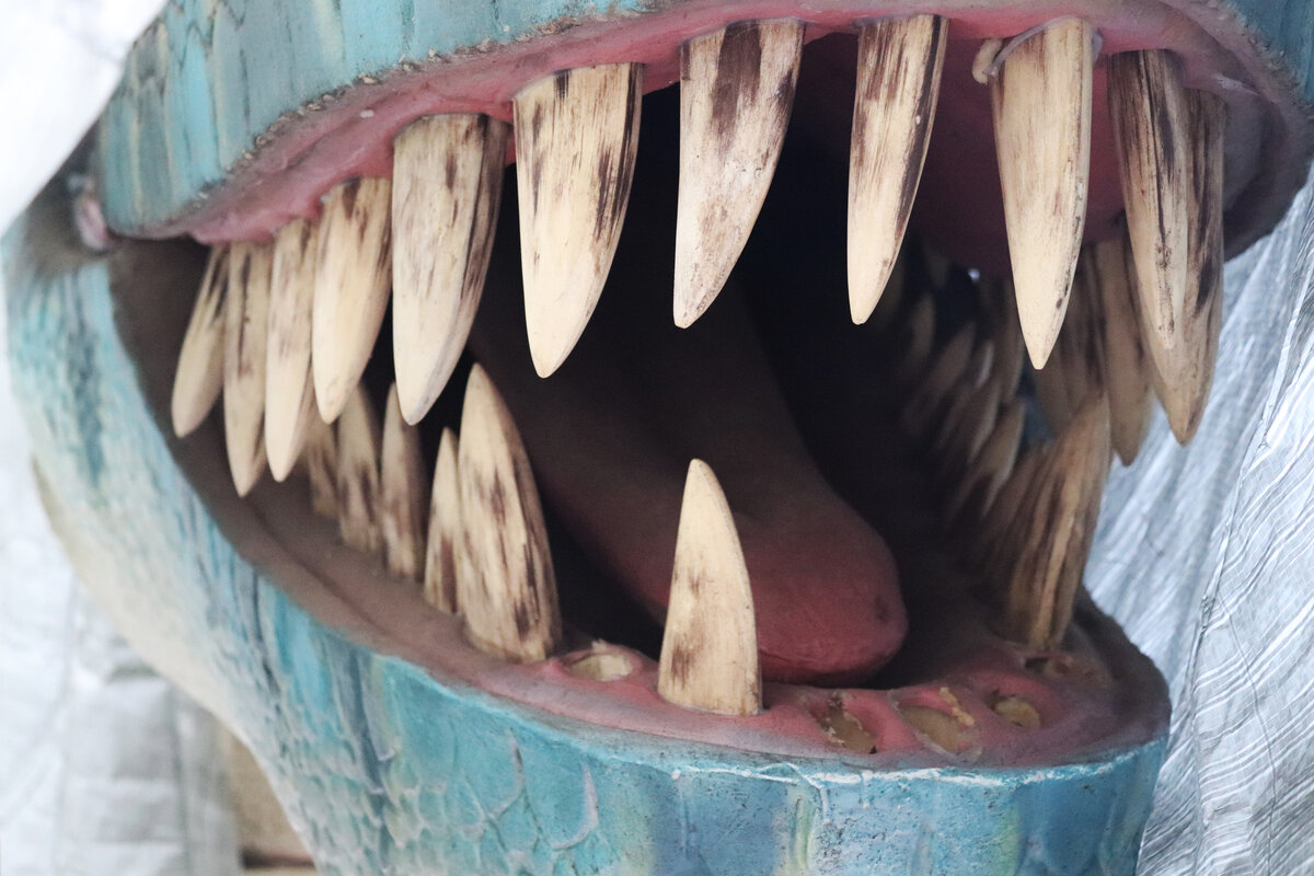 Eine Zeitreise zu den Urzeit-Giganten – Zoo Berlin