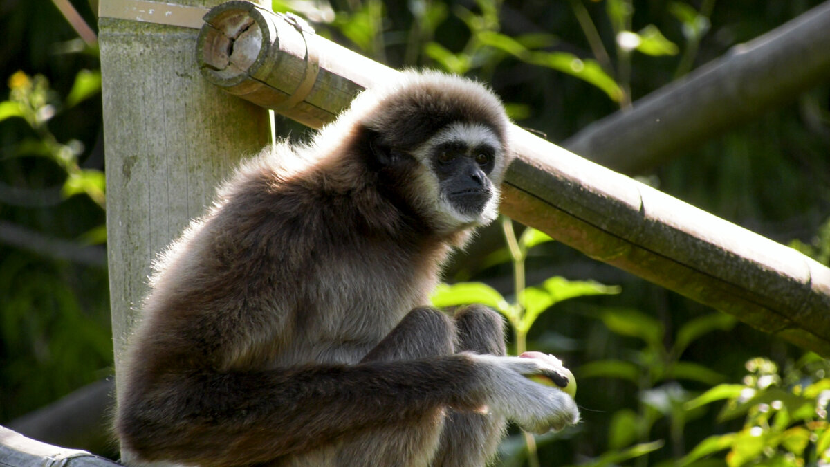Zoo Berlin