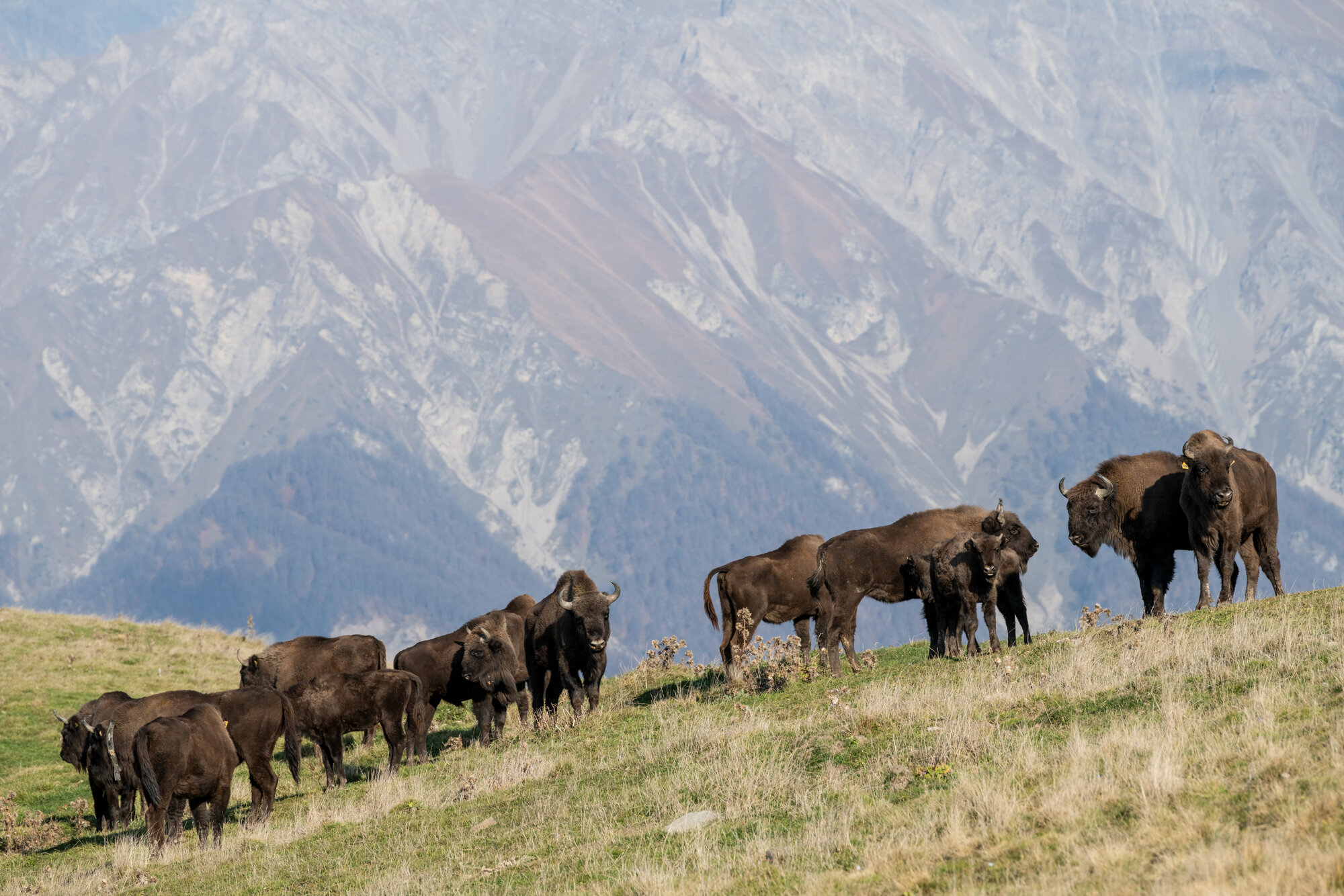 Into the wild – Zoo Berlin